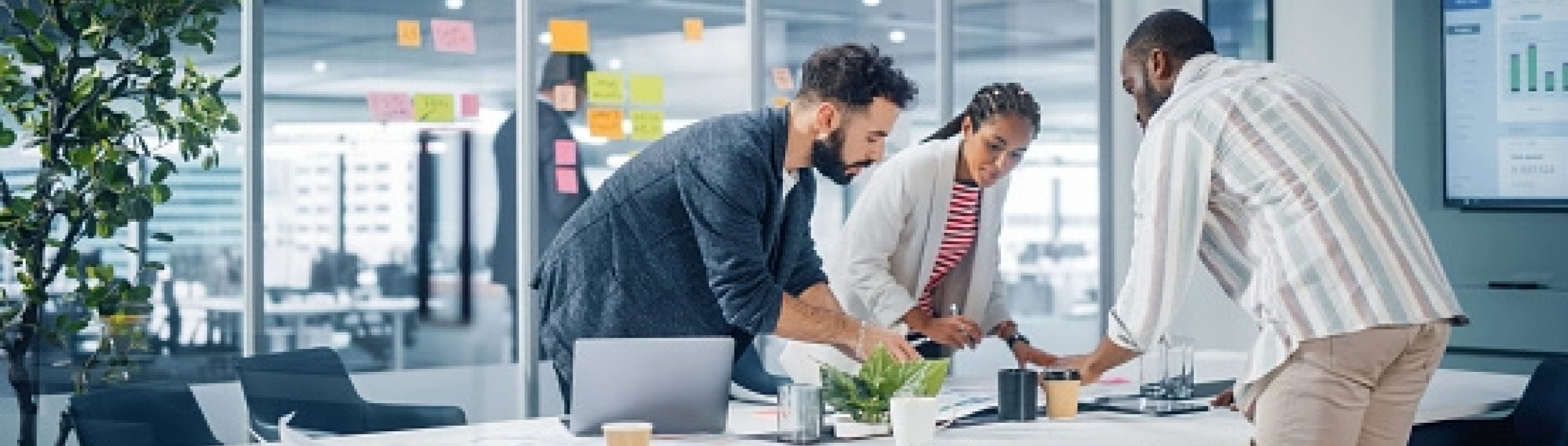 Environmental Manager